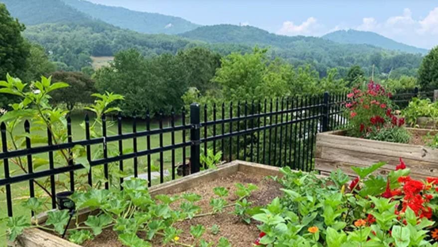 Reaping Benefits From a Senior Living Community Garden - Givens Communities